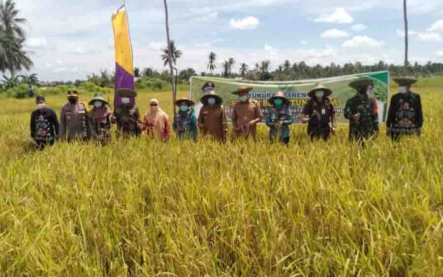 Potensi 3.761 Hektare Sawah di Sukamara Belum Terkelola Maksimal Potensi 3.761 Hektare Sawah di Sukamara Belum Terkelola Maksimal
